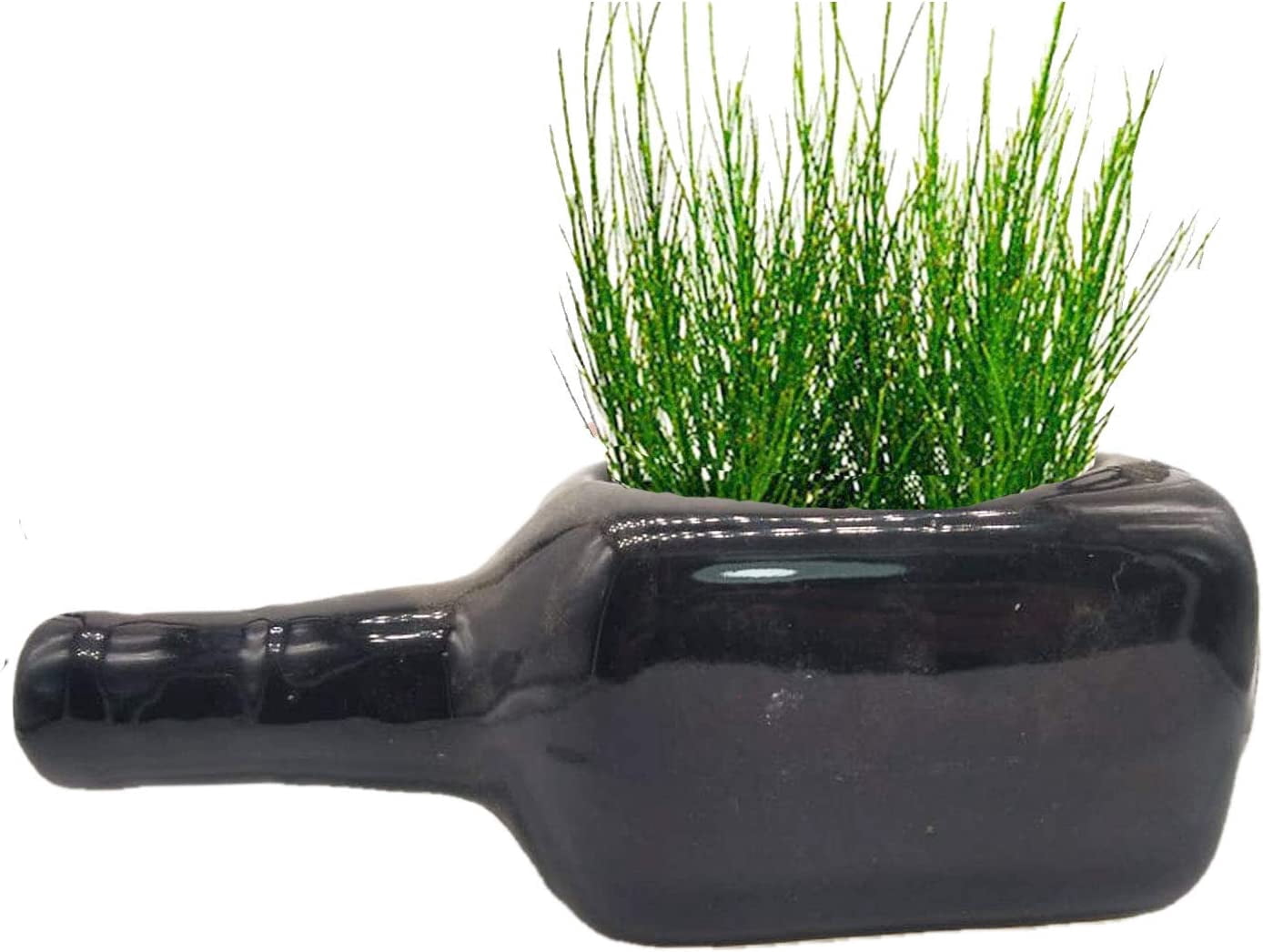 India Meets India Bottle Shaped Ceramic Planter Flower Pot Indoor ...
