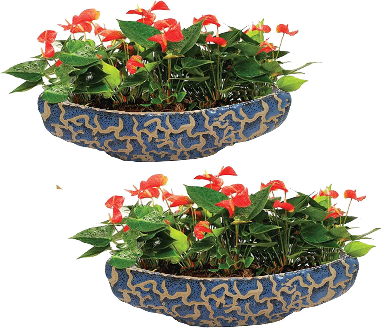 India Meets India Ceramic Boat Shaped Planter Flower Pots Indoor ...