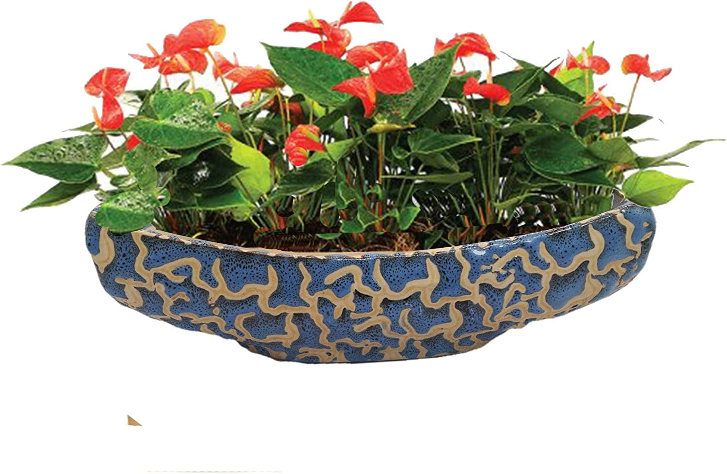 India Meets India Ceramic Boat Shaped Planter Flower Pots Indoor ...
