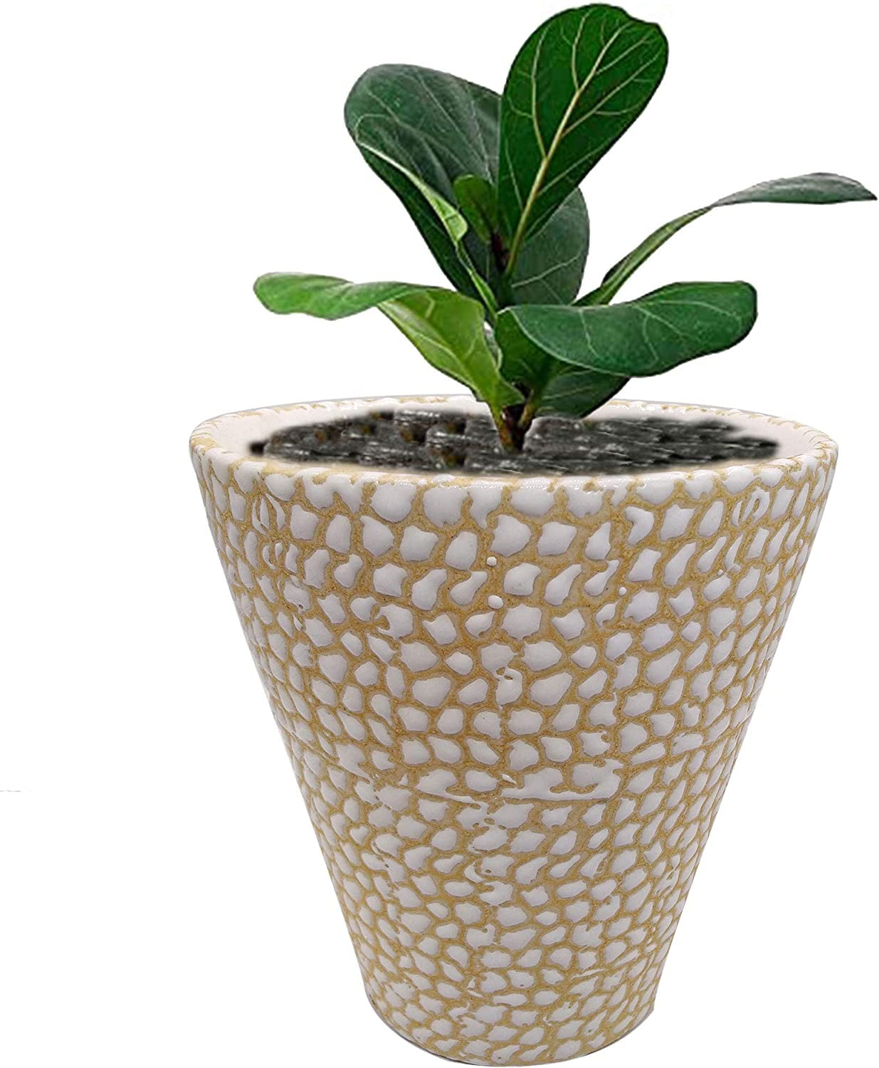 India Meets India Ceramic Flower Pot Designer Planter Vase Indoor ...