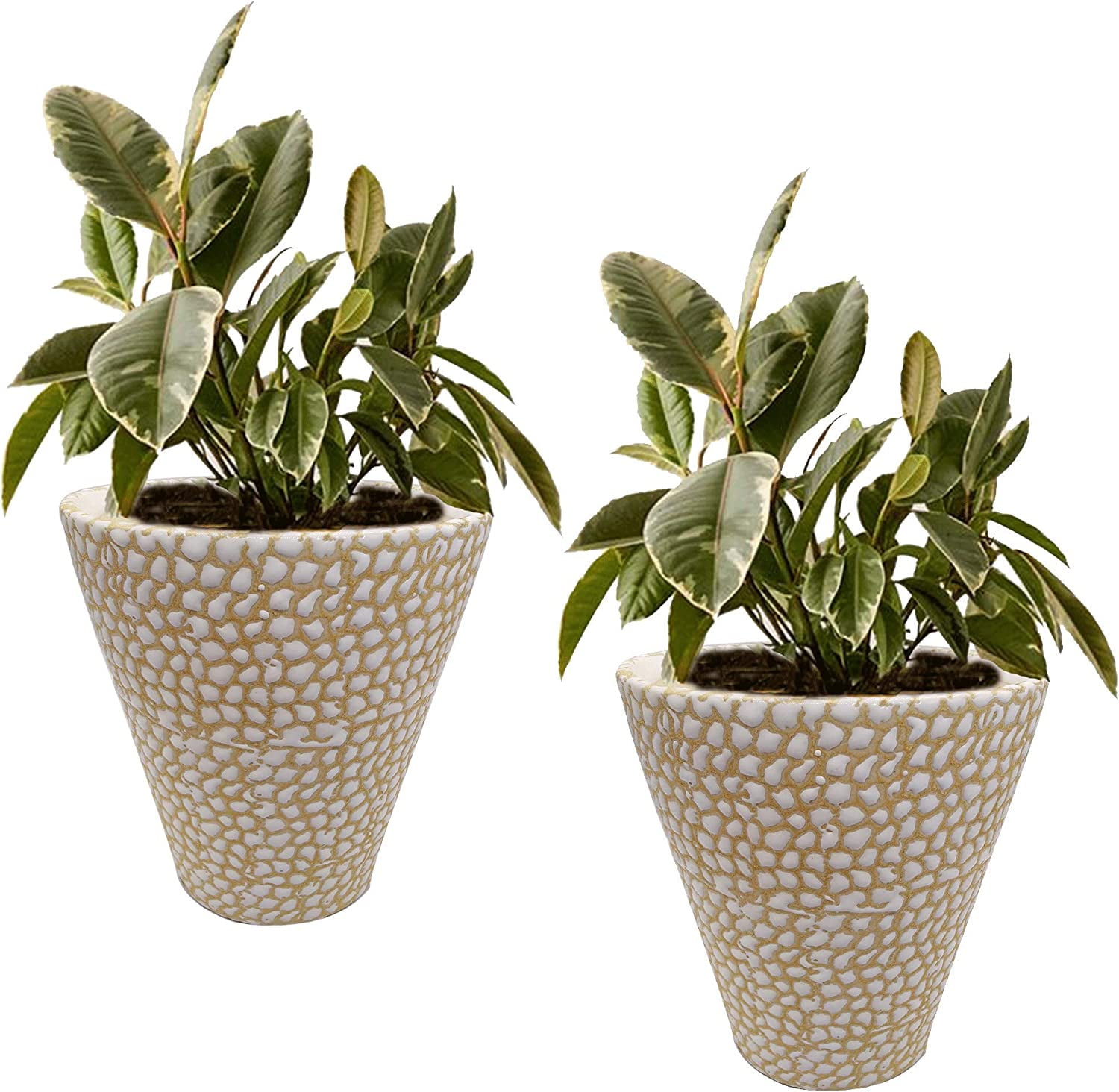 India Meets India Ceramic Flower Pot Designer Planter Vase Indoor ...