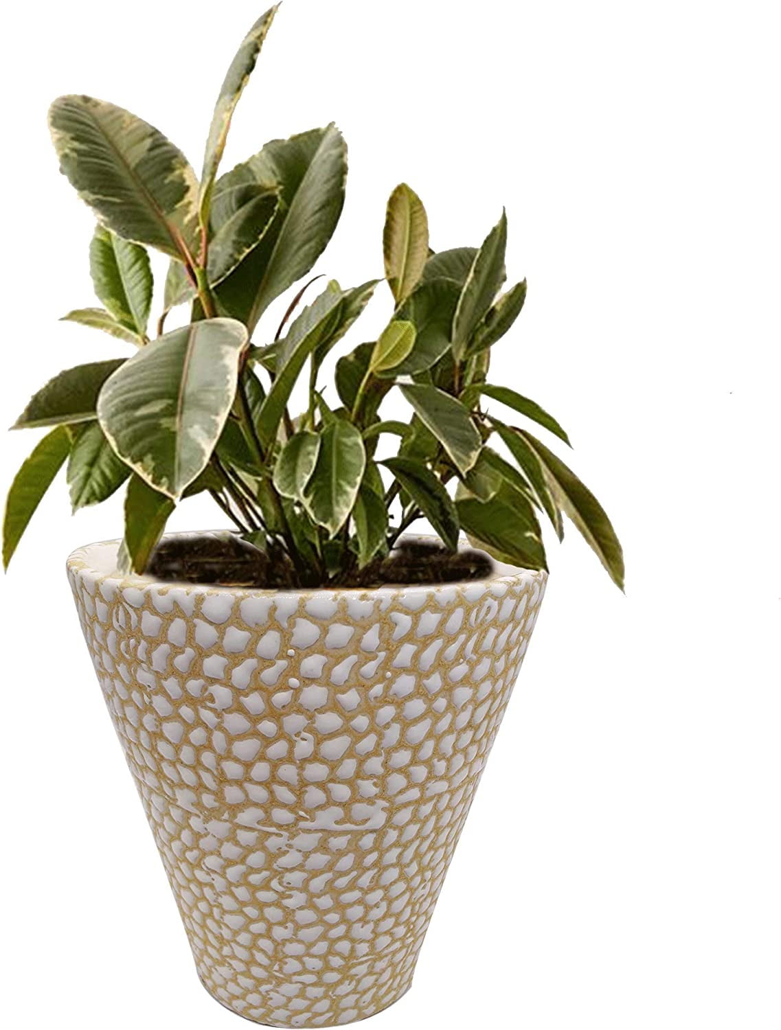 India Meets India Ceramic Flower Pot Designer Planter Vase Indoor ...