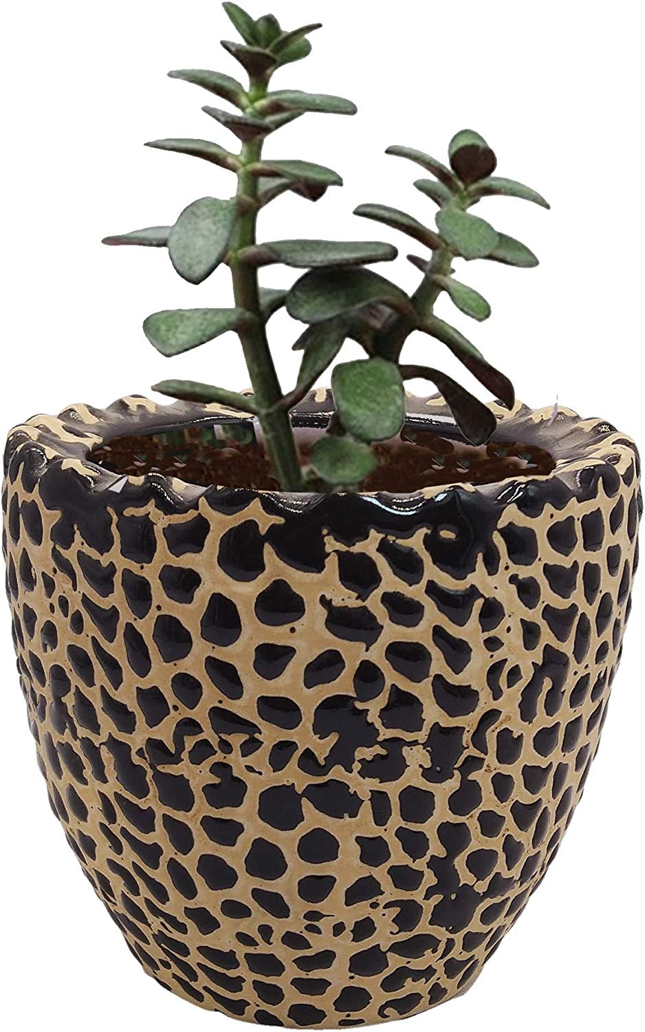 India Meets India Ceramic Flower Pot Designer Planter Vase Indoor ...