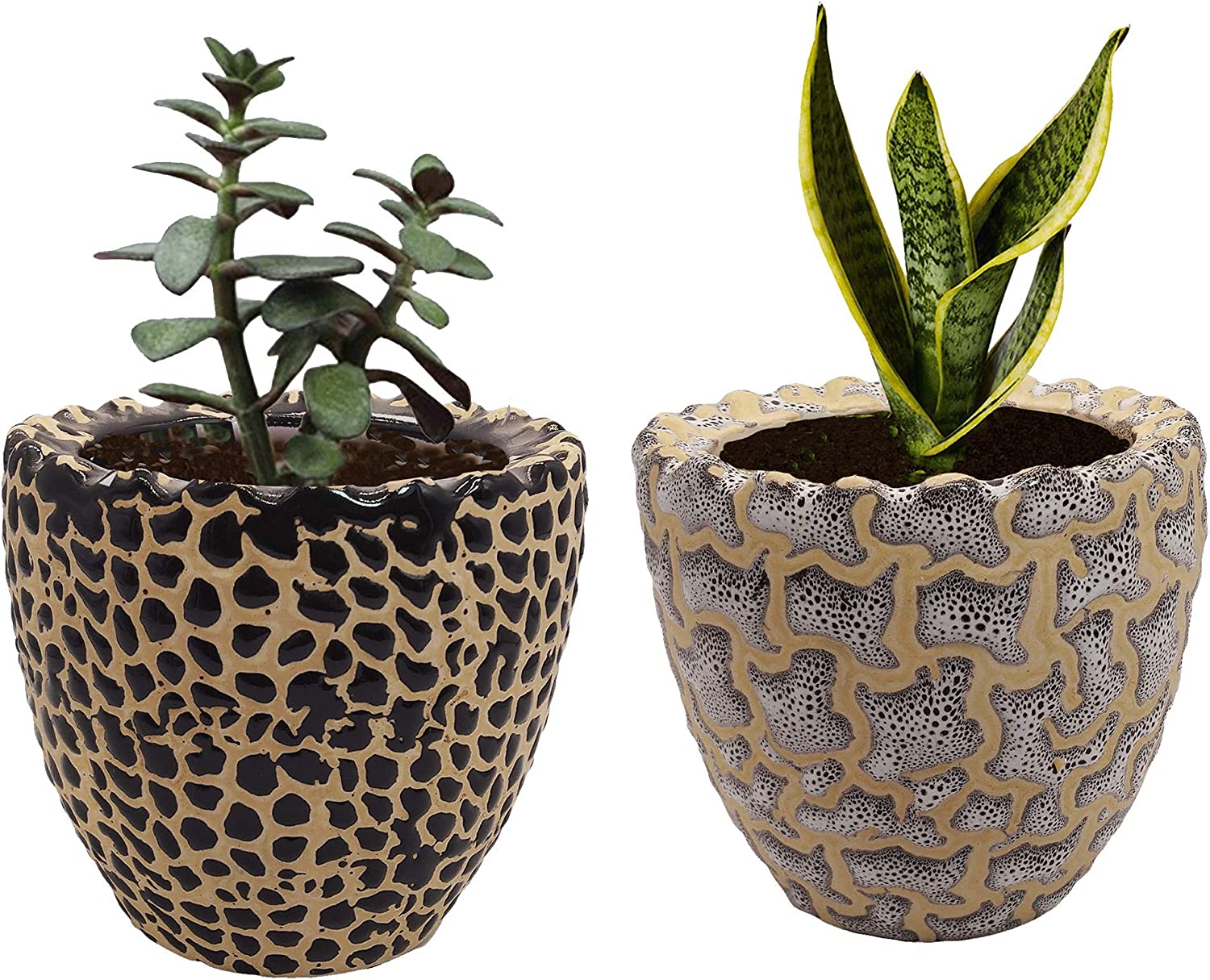 India Meets India Ceramic Flower Pot Designer Planter Vase Indoor ...