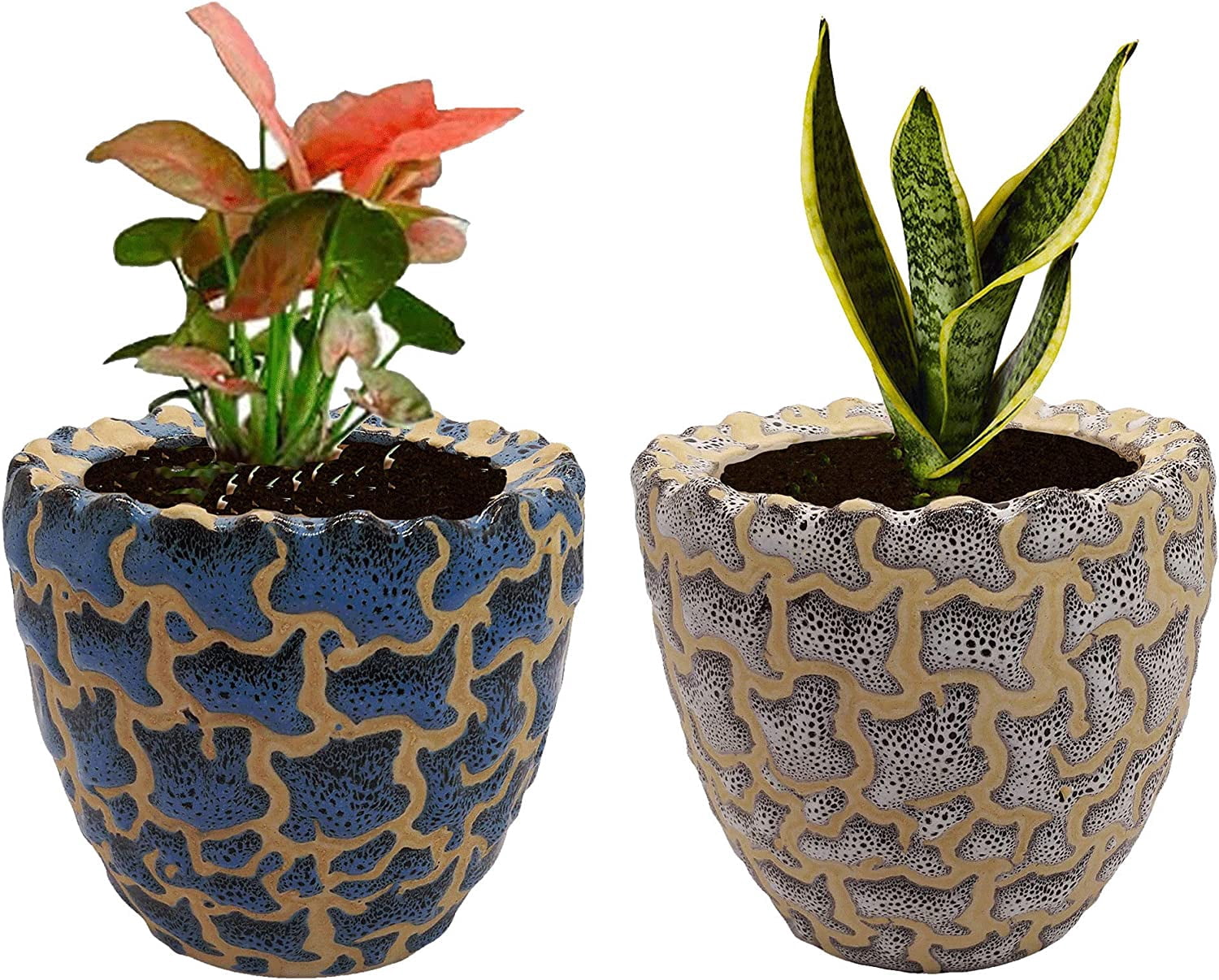 India Meets India Ceramic Flower Pot Designer Planter Vase Indoor ...