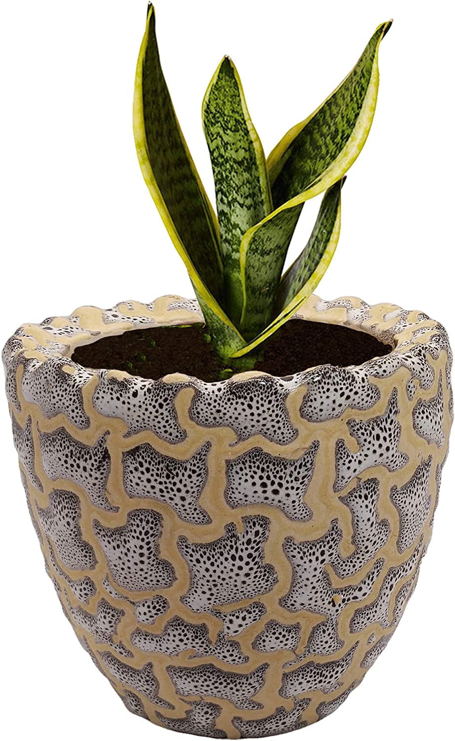 India Meets India Ceramic Flower Pot Designer Planter Vase Indoor ...