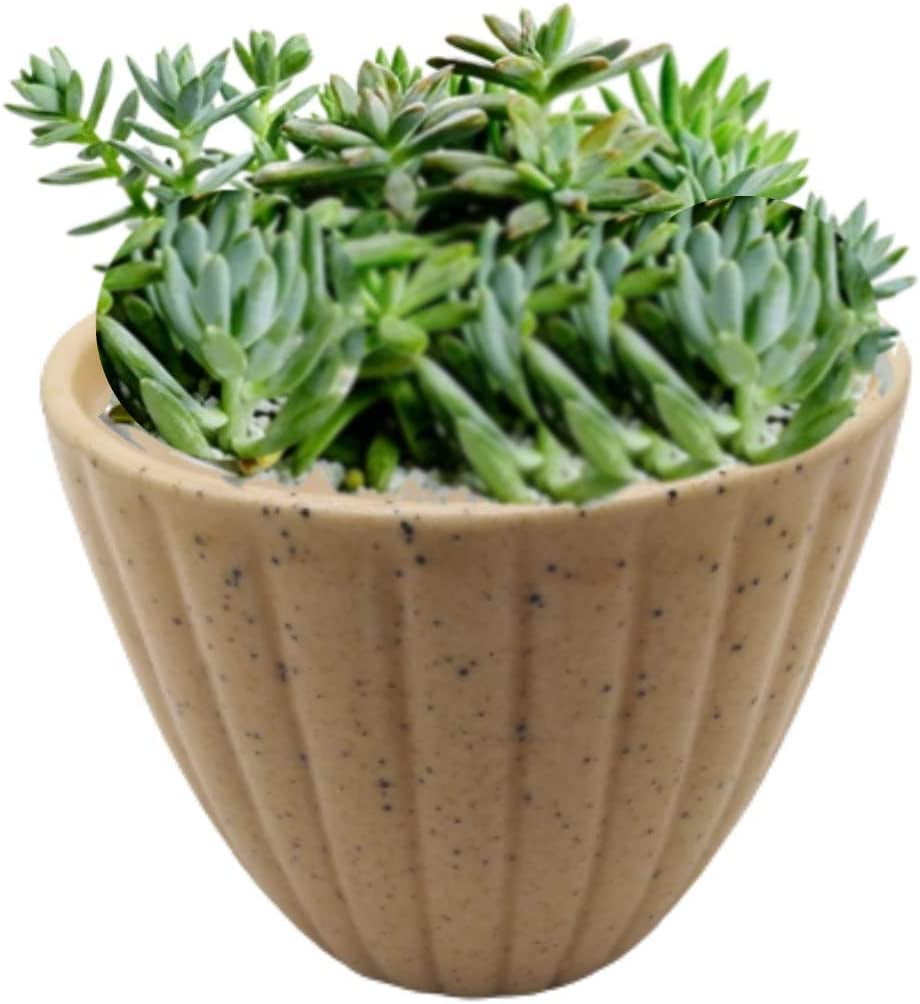India Meets India Ceramic Flower Pot Planter Indoor Outdoor Planter ...