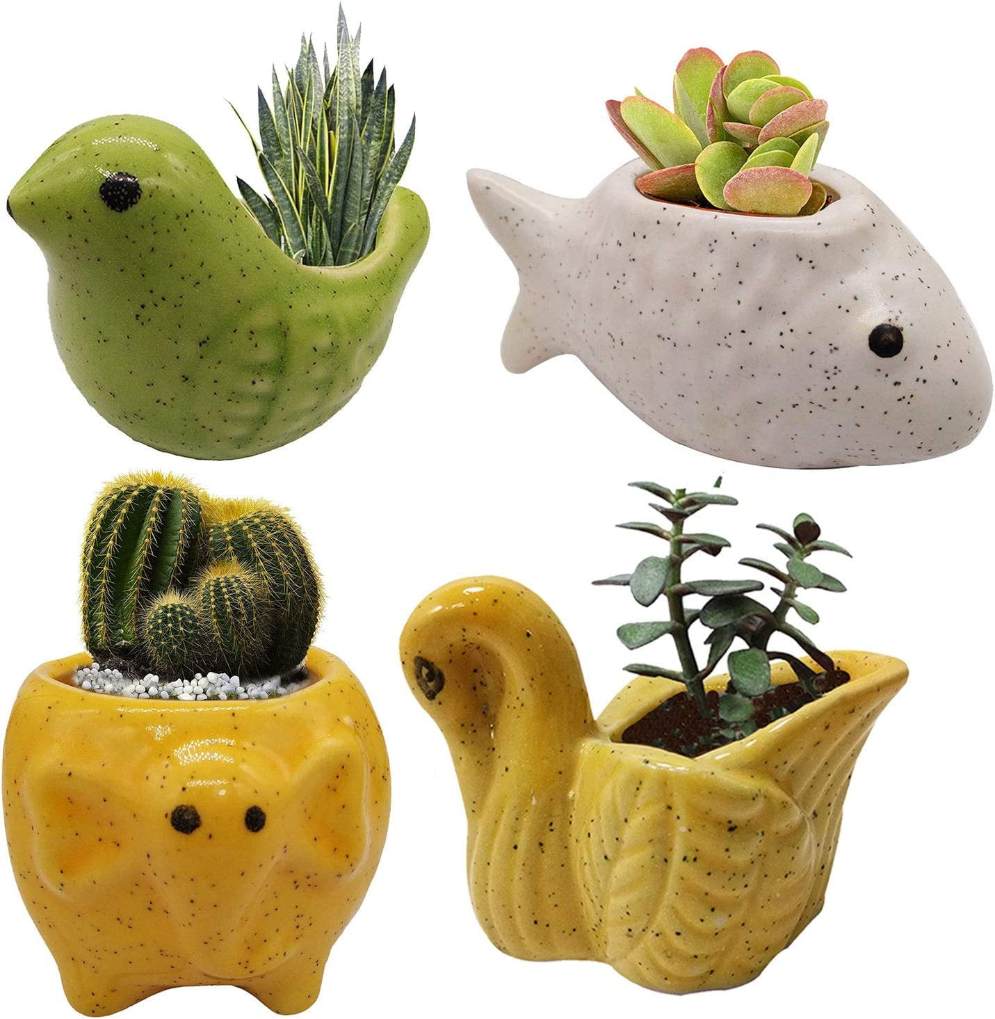 India Meets India Ceramic Flower Pot Planter Plant Pot Indoor Planter ...