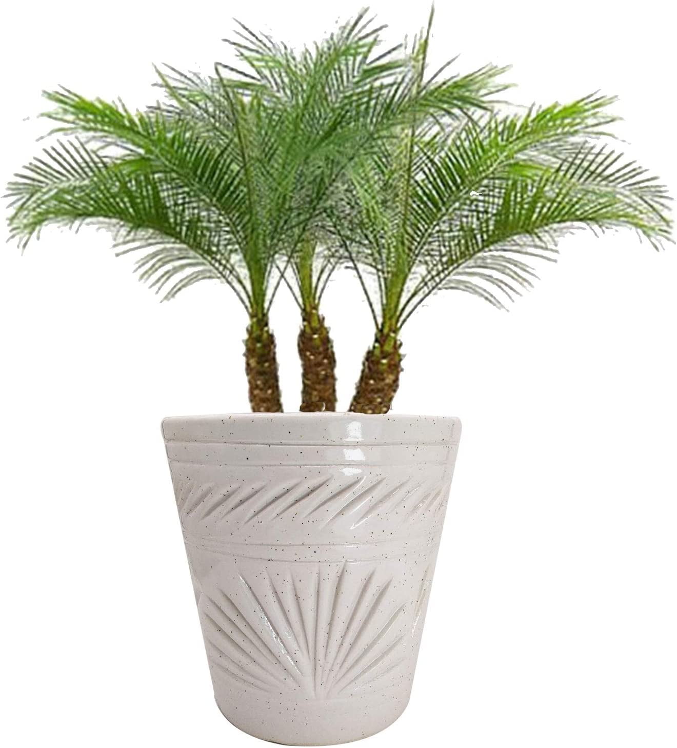 India Meets India Ceramic Flower Pot White Self Carving Design Planter ...