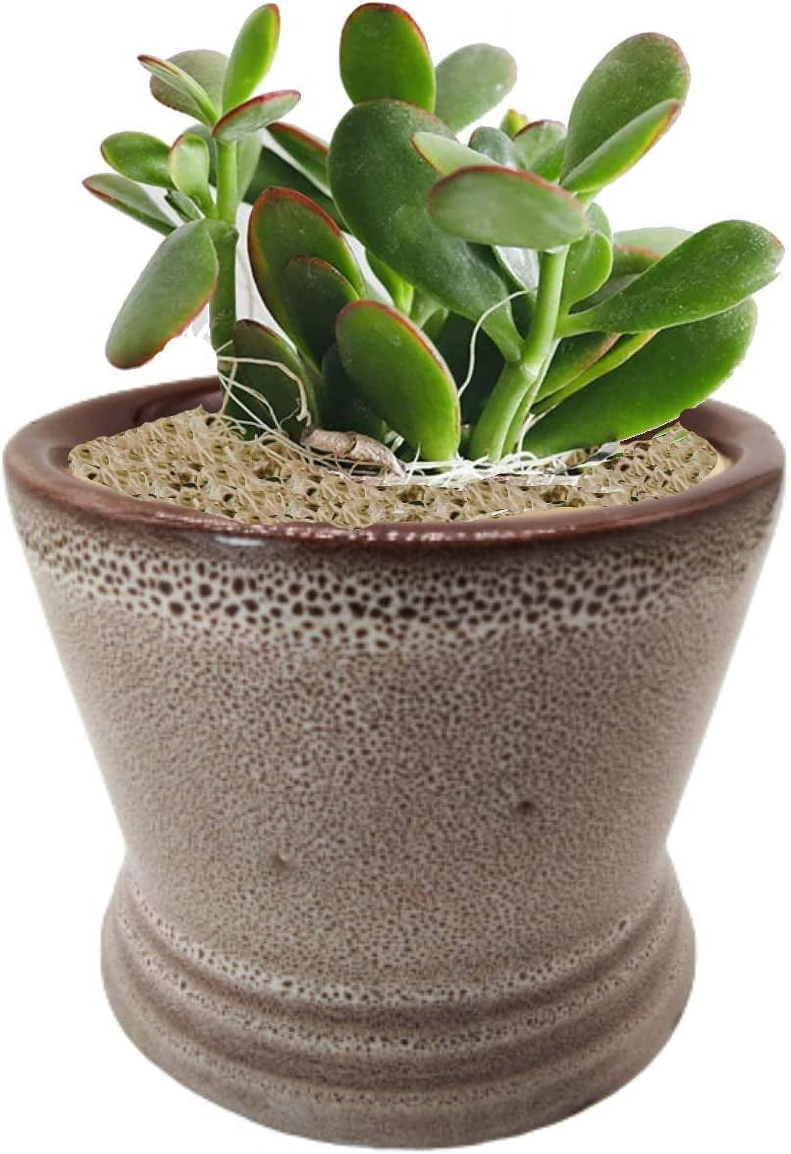 India Meets India Ceramic Indoor Outdoor Planter Flower Pot Handicraft ...