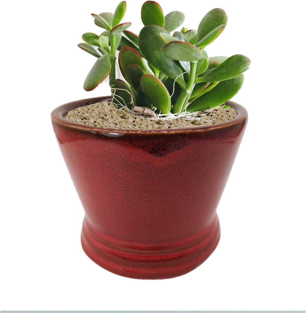 India Meets India Ceramic Indoor Outdoor Planter Flower Pot Handicraft ...