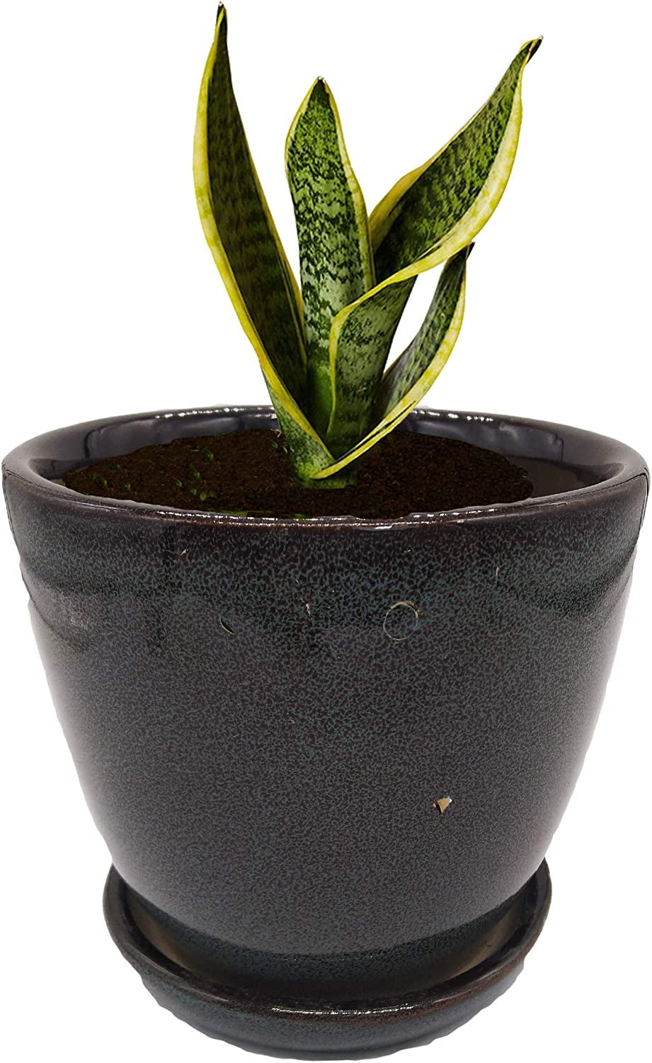 India Meets India Cup Plate Ceramic Flower Pot Planter Indoor Outdoor ...