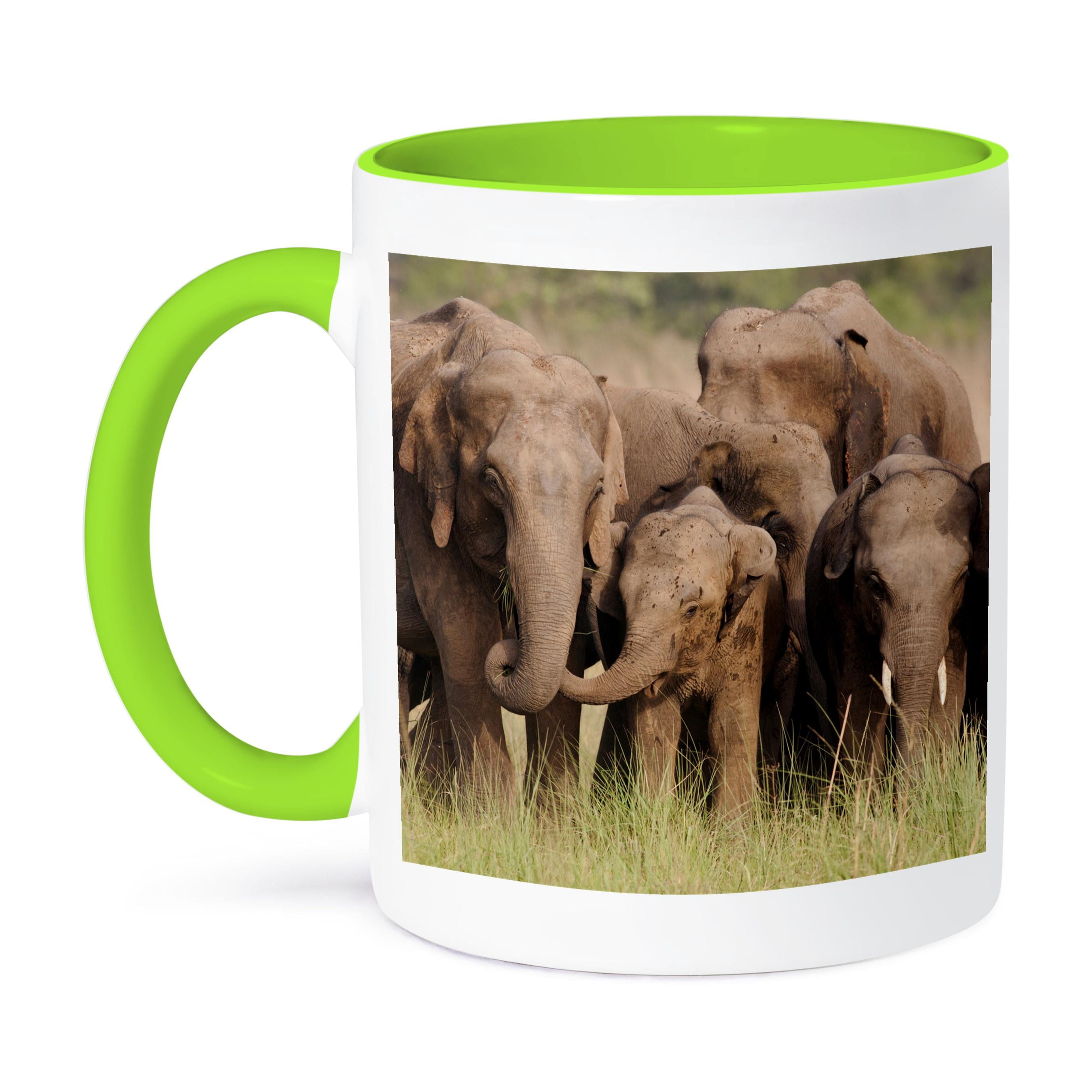 Indian Asian Elephant Family, Corbett National Park., 15oz Two-Tone ...