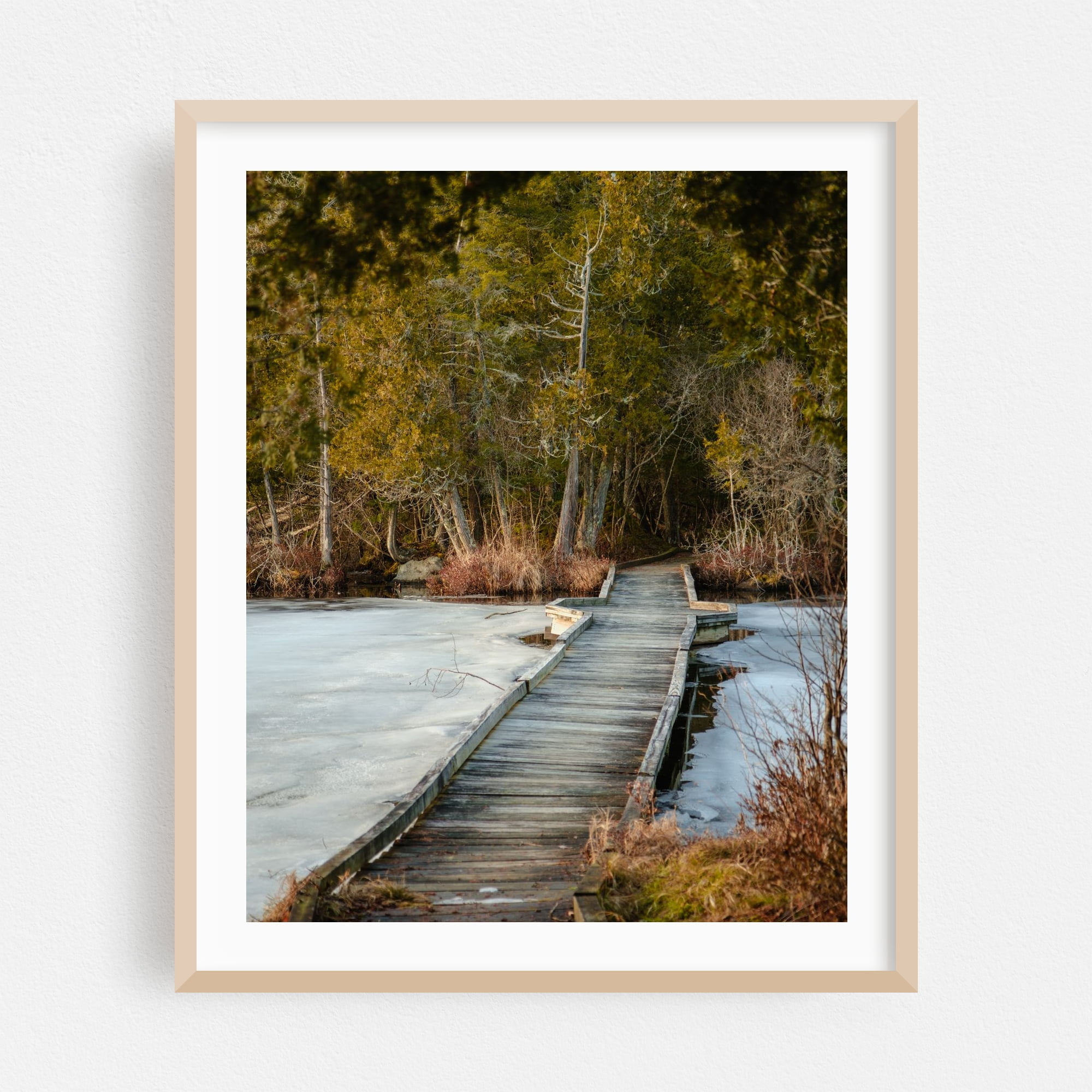 Indian Carry Boardwalk - New York Photography Boardwalk Forest Nature ...