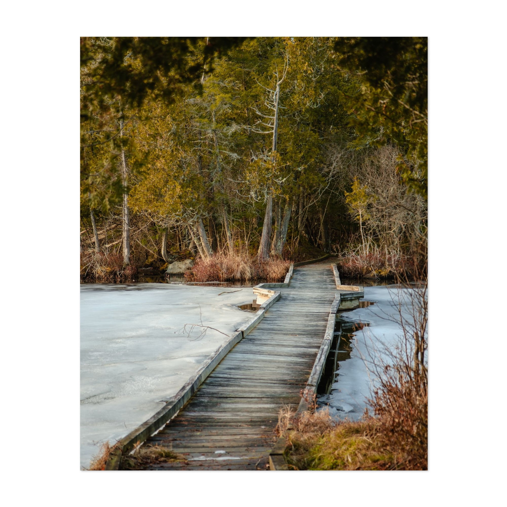 Indian Carry Boardwalk - New York Photography Boardwalk Forest Nature ...