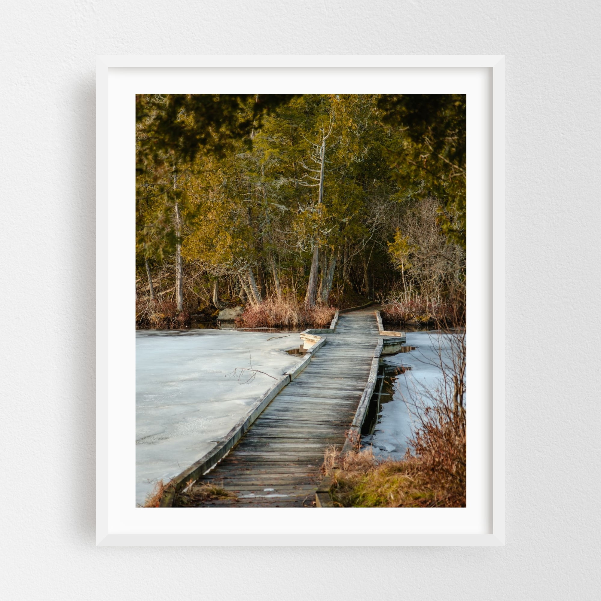 Indian Carry Boardwalk - New York Photography Boardwalk Forest Nature ...