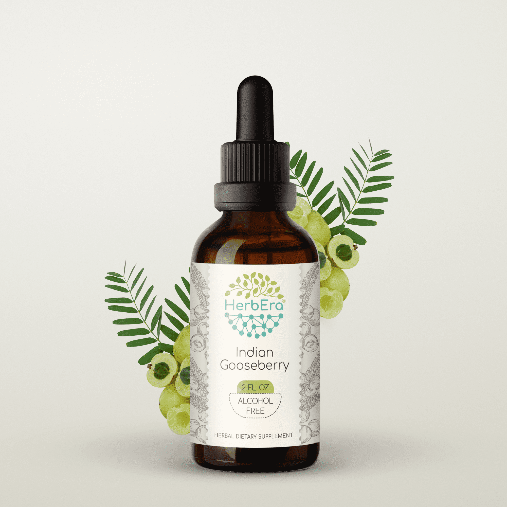 HerbEra Indian Gooseberry Tincture, Herbal Dietary Supplement for ...
