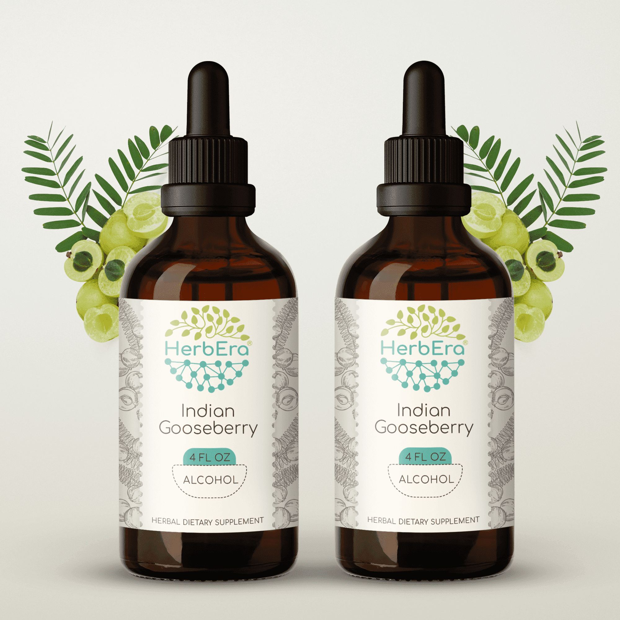 HerbEra Indian Gooseberry Tincture, Herbal Dietary Supplement for ...