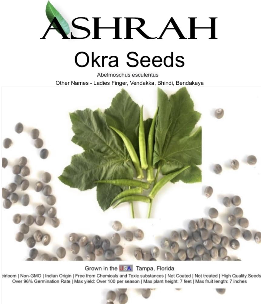 Indian Okra Seeds TWE5 - 20 Count. Bhindi, Ladiesfinger. Flower Seeds ...