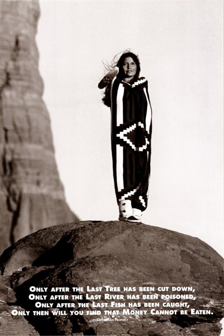 Indian Prophecy Poster - 24x36 - Walmart.com