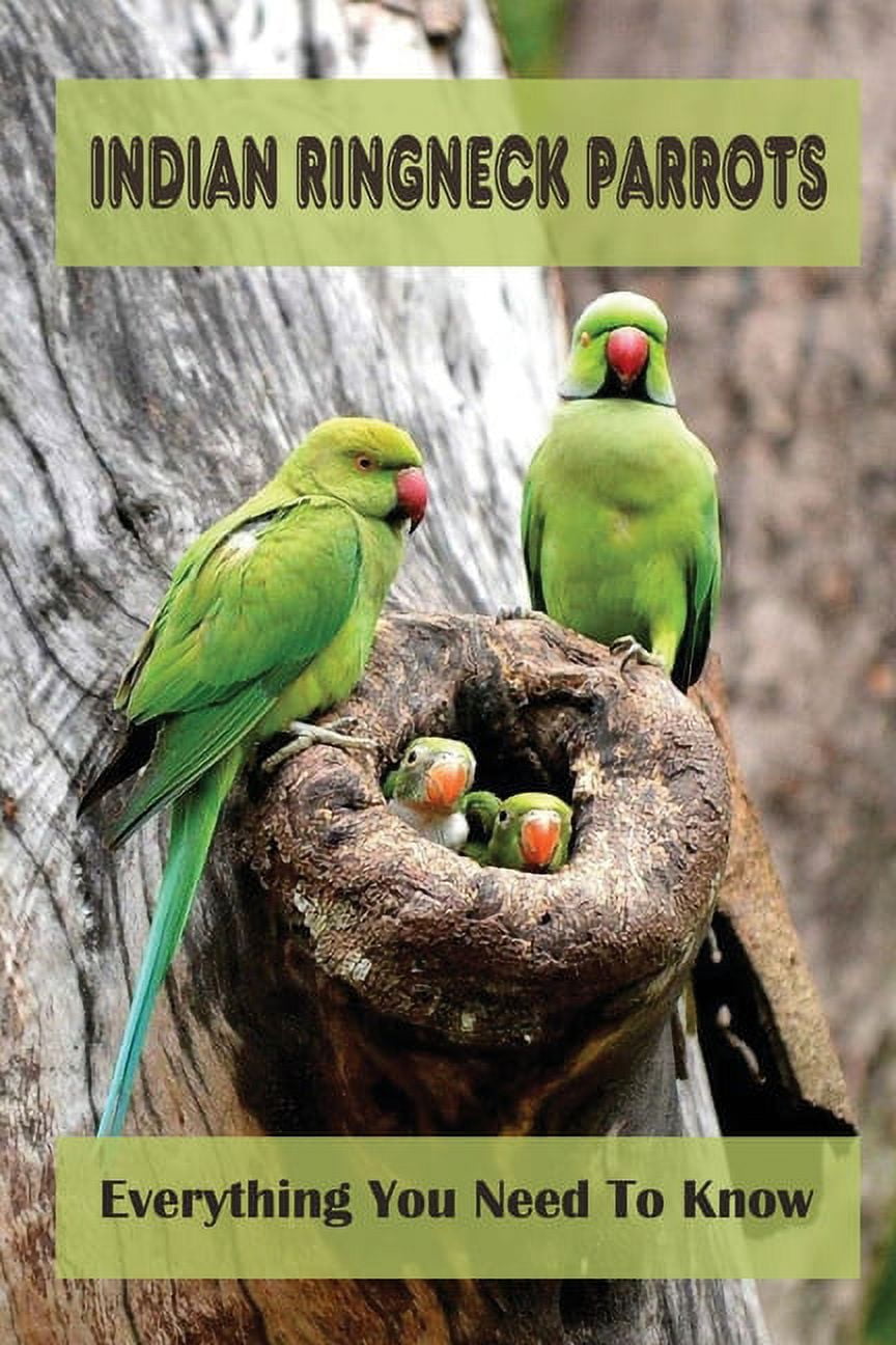 Indian Ringneck Parrots: Everything You Need To Know: Fun Facts About ...