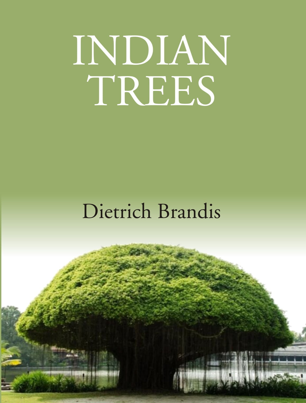 Indian Trees: An Account Of Trees, Shrubs, Woody Climbers, Bamboos And ...