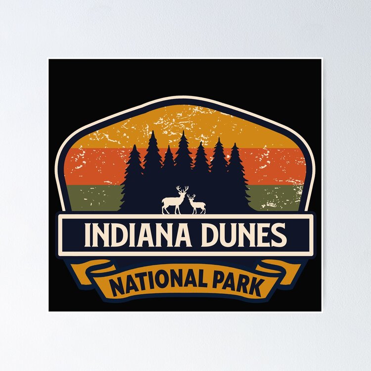 Indiana Dunes National Park-Vintage UNFRAMED Poster, 16x24 - Walmart.com