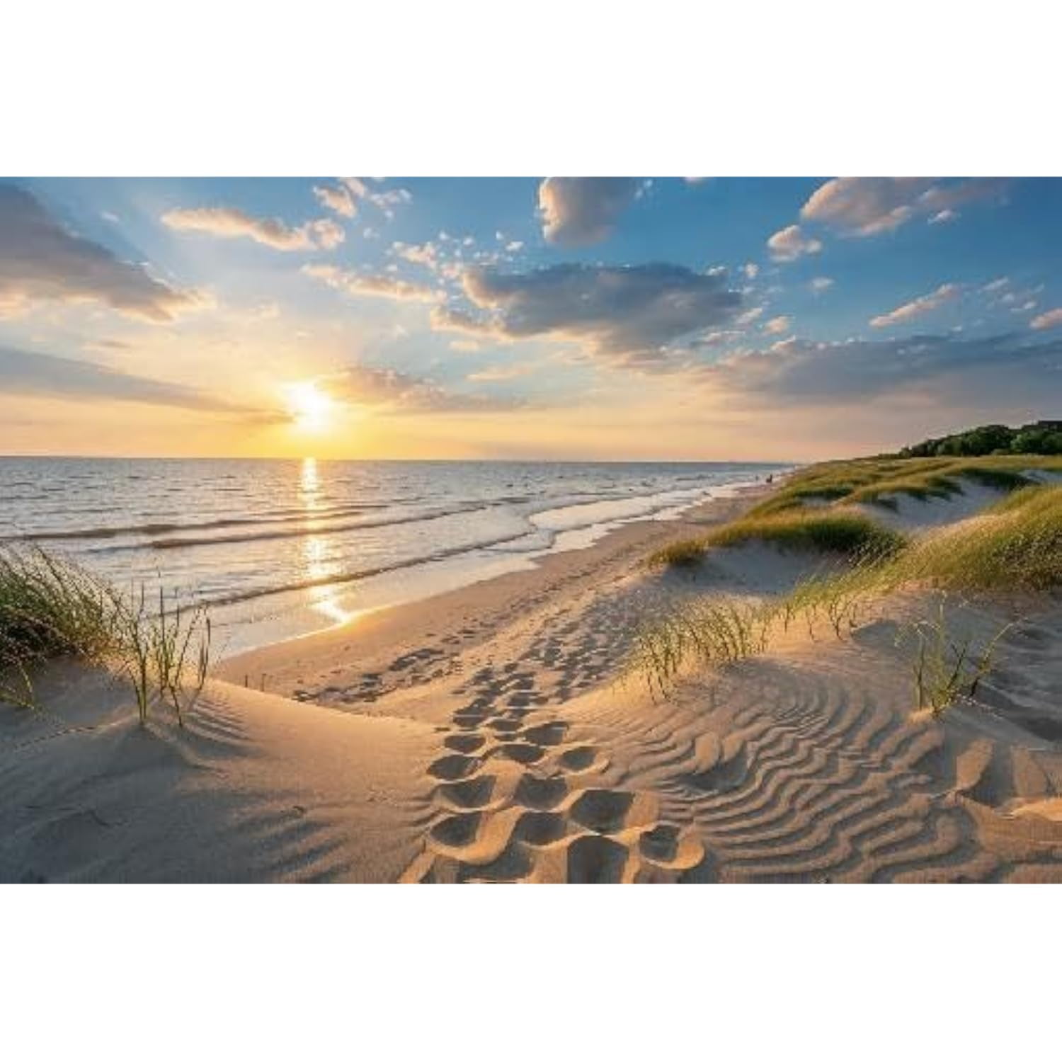 Indiana Dunes State Park Beach Lake Michigan Jigsaw Puzzle 1000 Piece ...