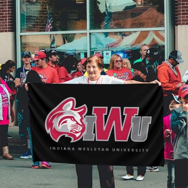 Harlik 20-Pack Triangle Pennant Banners - Party/Home Decoration Flags ...