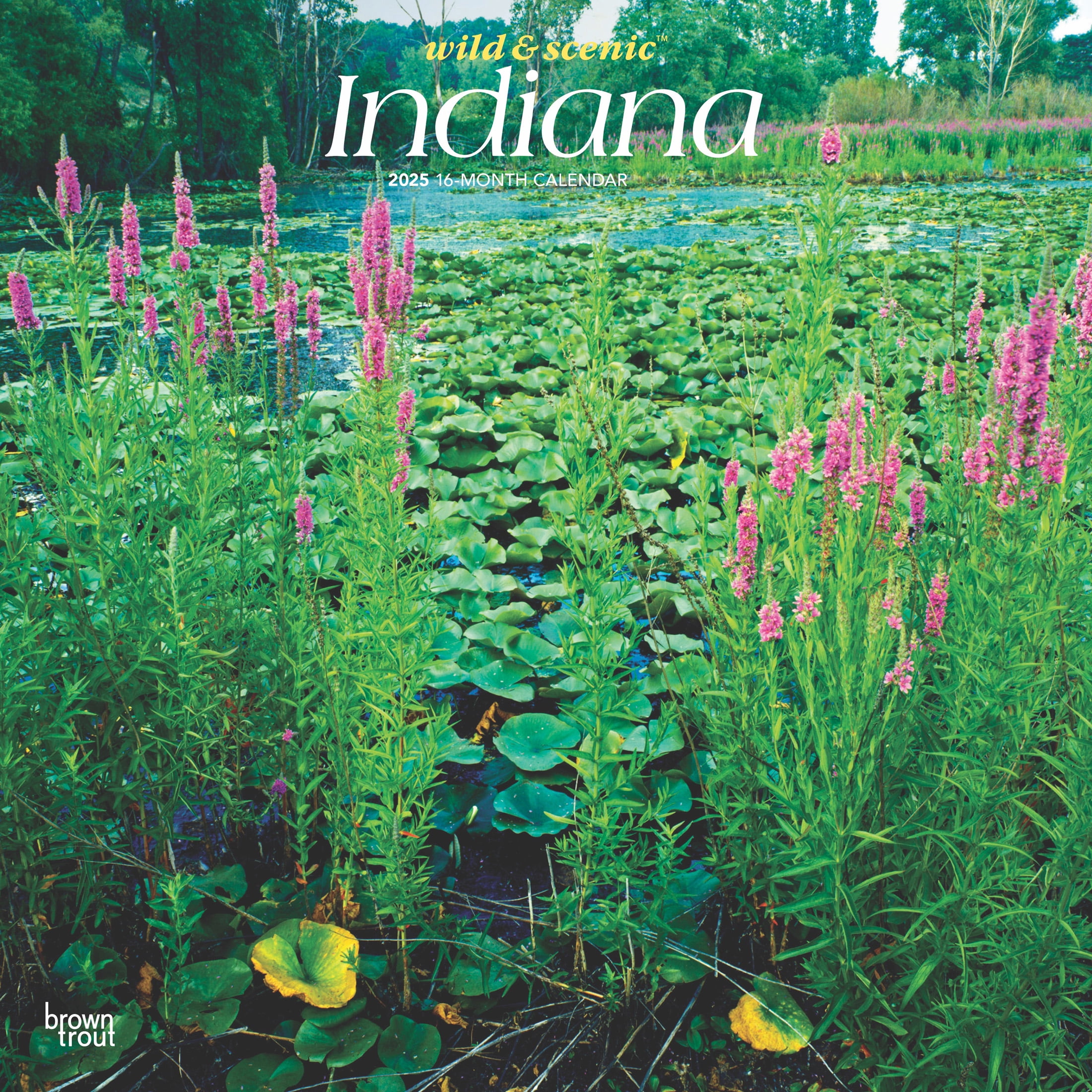 Indiana Wild & Scenic | 2025 12x24" (Hanging) Wall Calendar ...