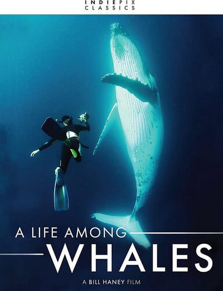 Indiepix Classics: A Life Among Whales (DVD), Indiepix, Documentary ...