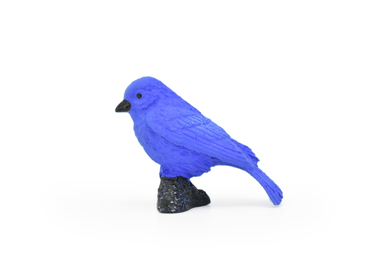 Indigo Bunting, Rubber Bird, Educational, Realistic, Hand Painted ...