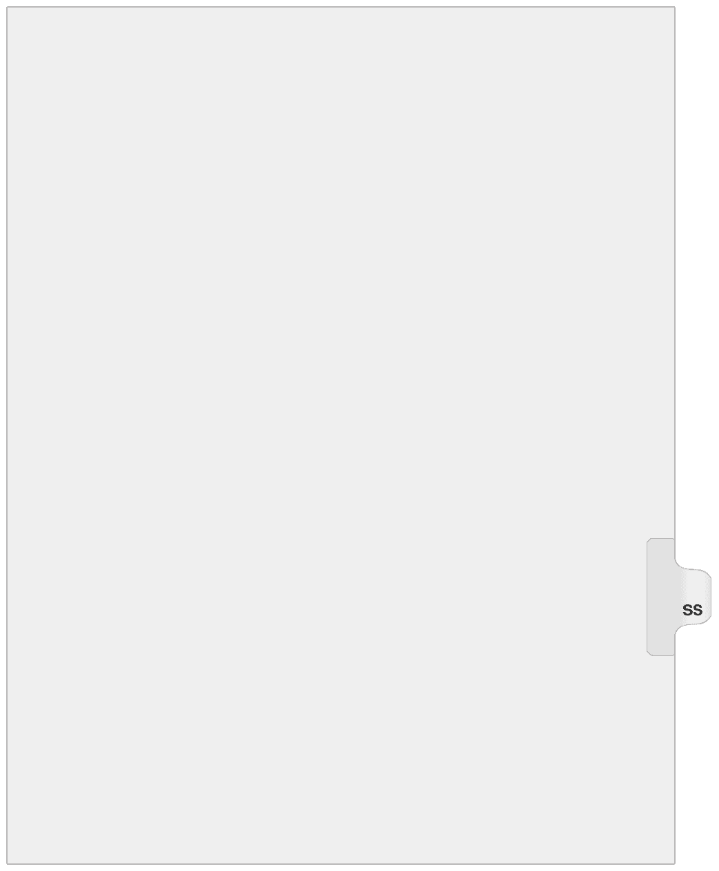 Individual Side Tabs Double Letters - Side Tab SS (Pack of 25 ...