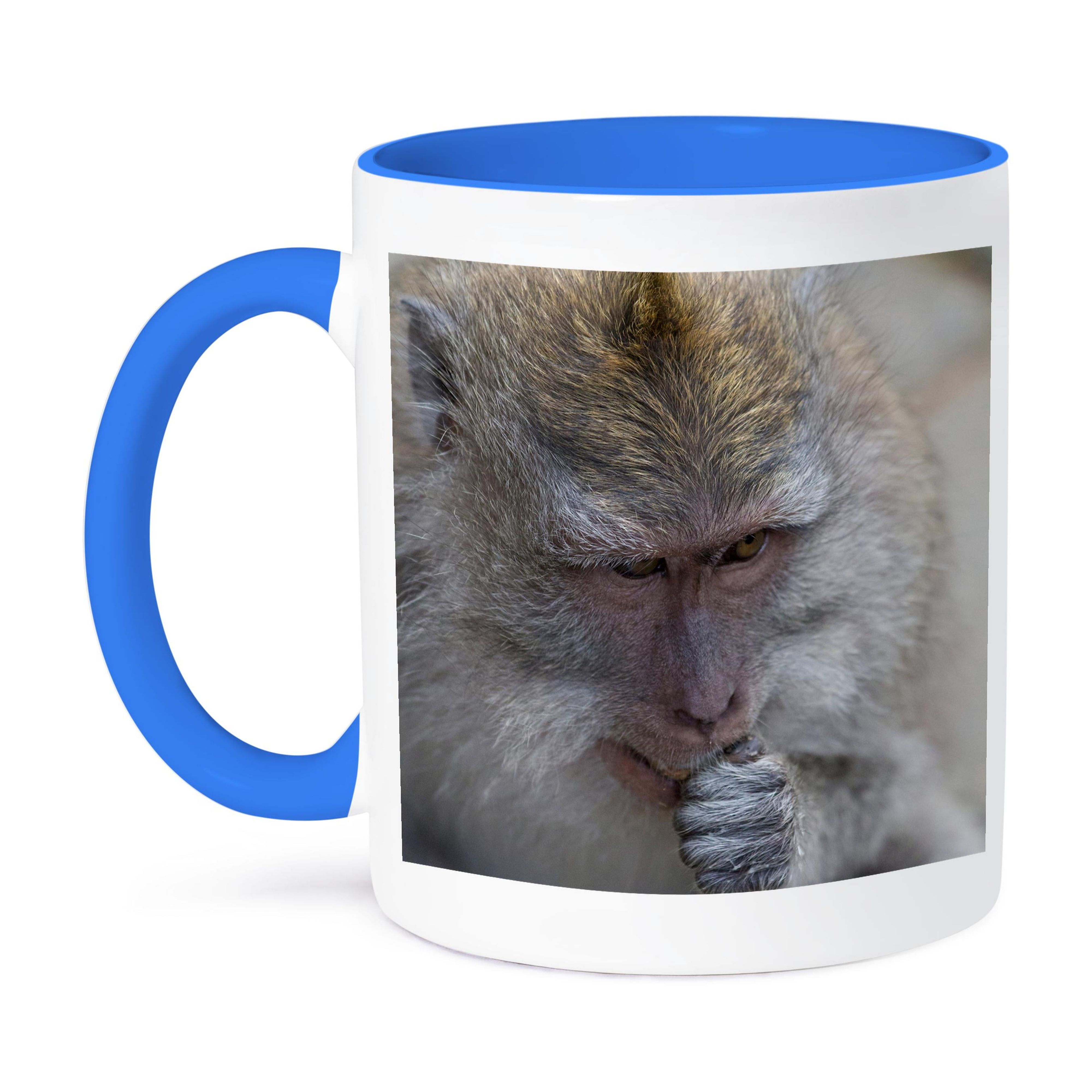 Indonesia, Bali. The Monkey Forest Of Padangtegal A Sacred Site., 15oz ...