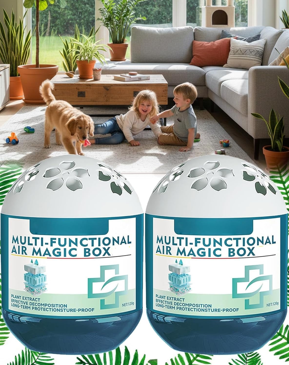 Indoor Air Purification Dust Removal Magic Box, Bringing Health to the ...