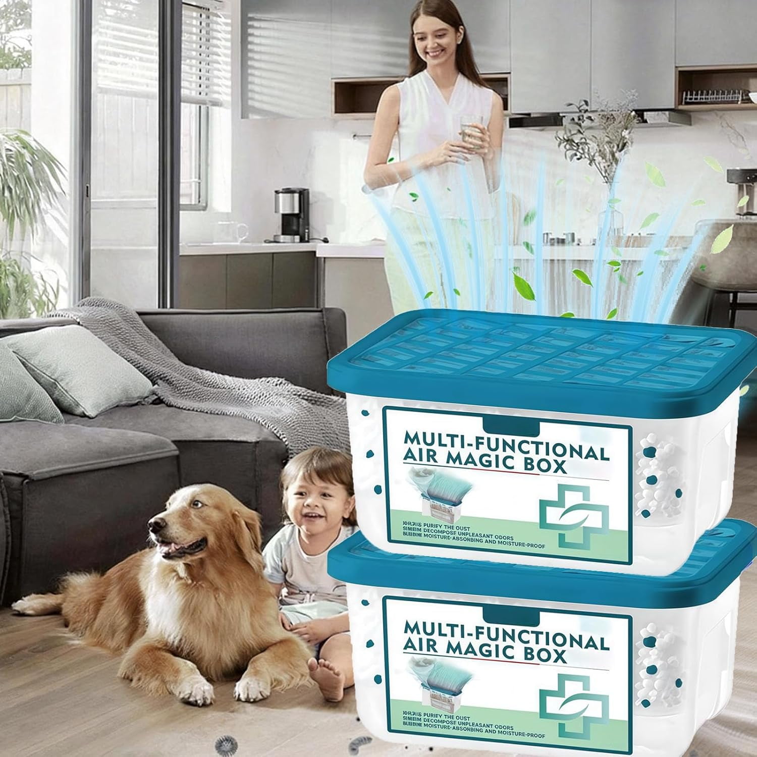 Indoor Air Purification Dust Removal Magic Box, Multi-Functional Air ...
