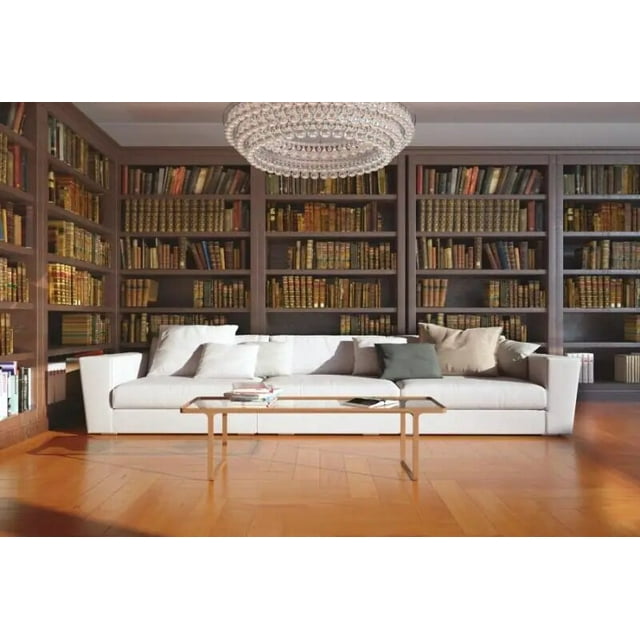 Indoor Collectibles Bookshelf Portrait Scene Photographic Backgrounds ...