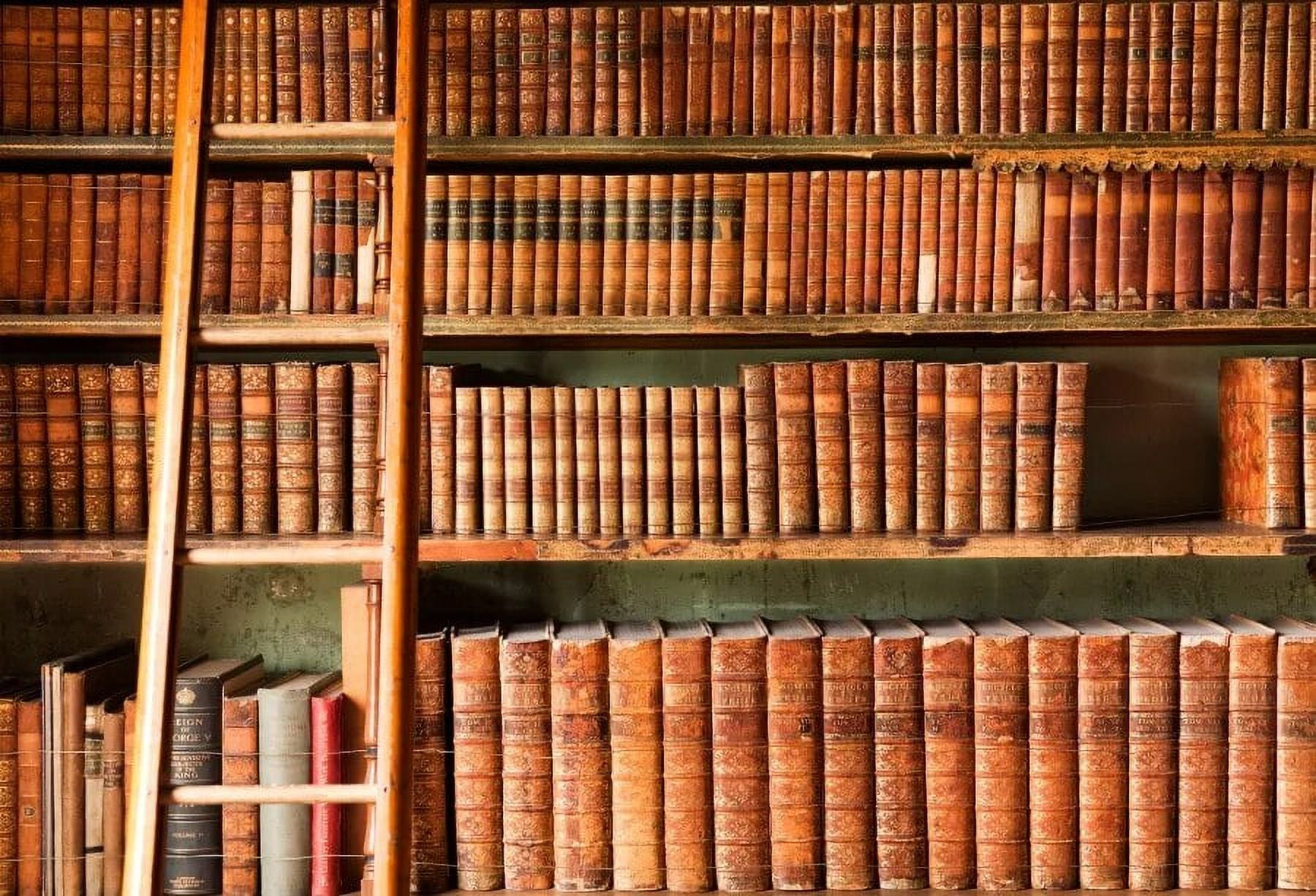 Indoor Collectibles Bookshelf Portrait Scene Photographic Backgrounds ...