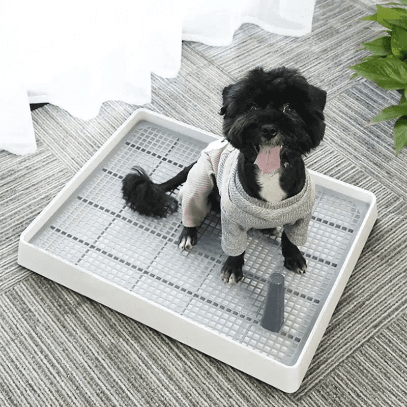 Indoor Dog Potty Toilet, Portable Training Toilet For Small Dogs And ...