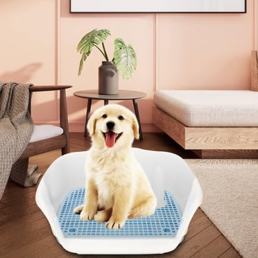 PS Korea Indoor Dog Potty Tray with Protection Wall Every Side for No ...