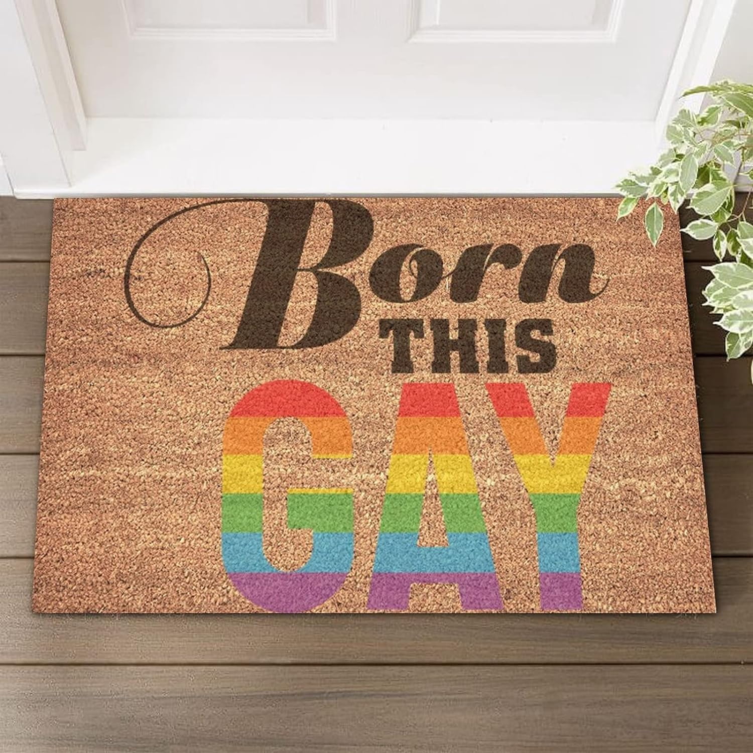 Indoor Door Mats for Entryway Bisexual and Transgender People Natural ...