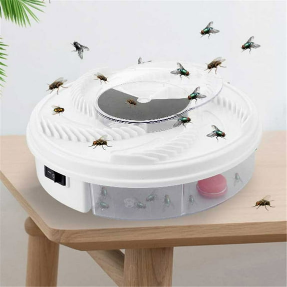 Generic Indoor Electric Fly and Gnat Trap, Automatic Catcher, USB ...