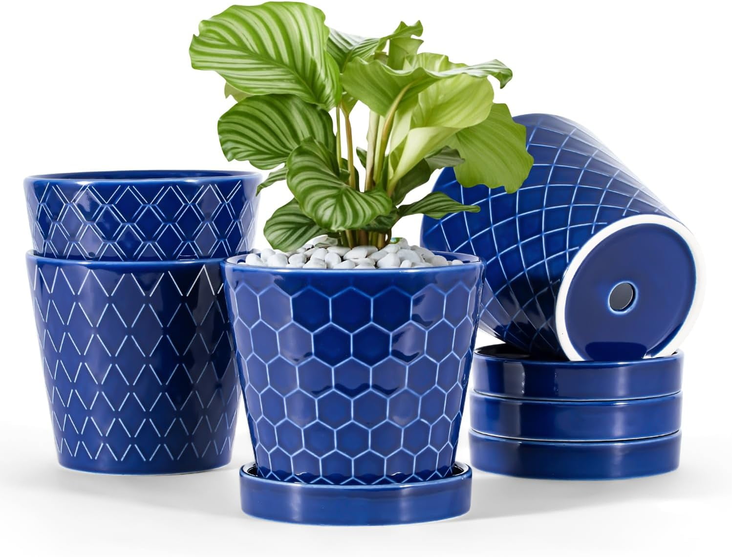 Indoor Flower Pot - Ceramic Plant Pot with Drainage Holes and Ceramic ...