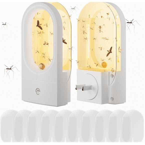 Insect Glue Traps