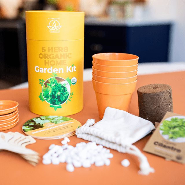 Indoor Herb Garden Kit | Organic Non GMO Seed Cilantro, Chives, Parsley ...