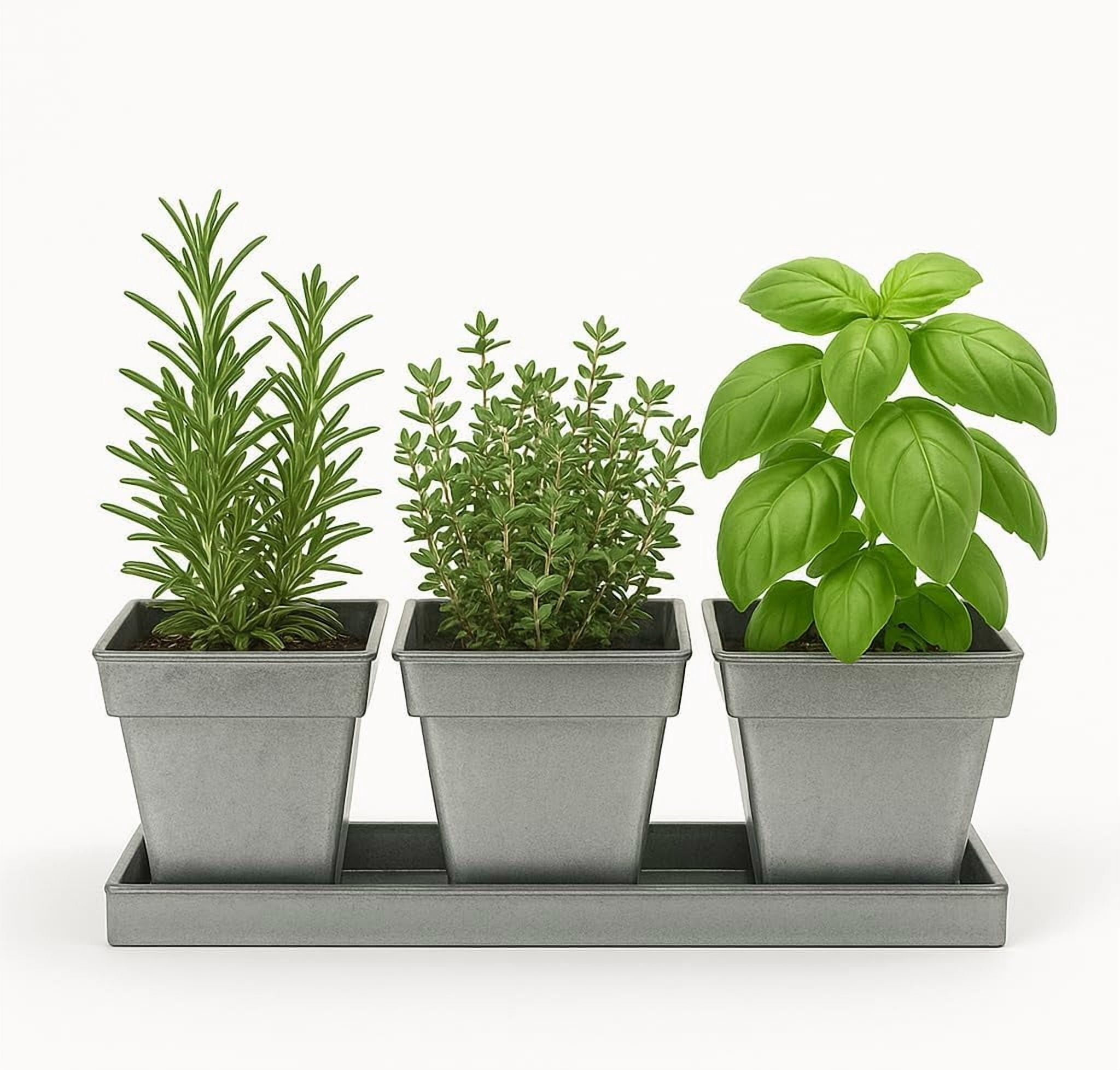 Indoor Herb Garden Planter Set with Tray - Metal Windowsill Plant Pots ...
