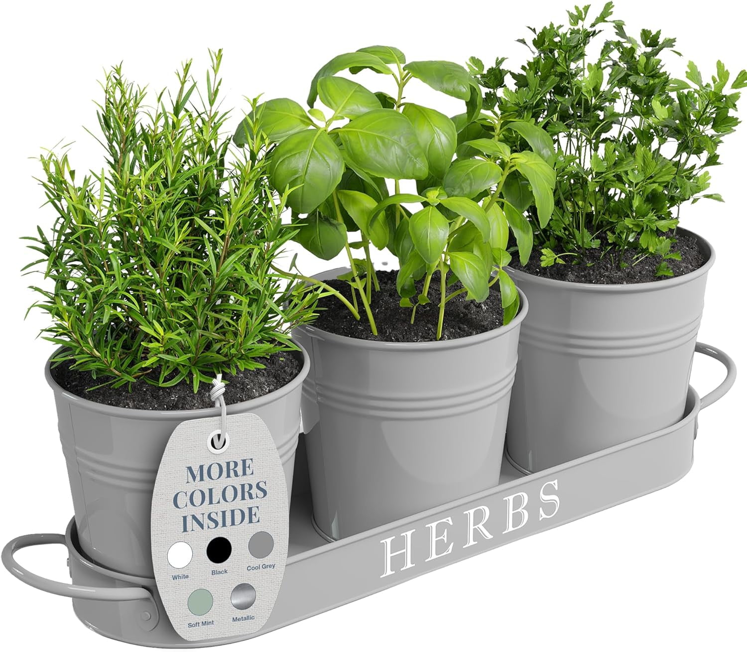 Indoor Herb Garden Planter Set with Tray, Metal Window Sill Planter ...