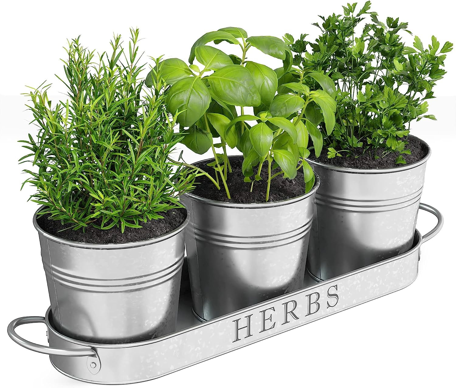 Indoor Herb Garden Planter Set with Tray, Metal Windowsill Plant Pots ...