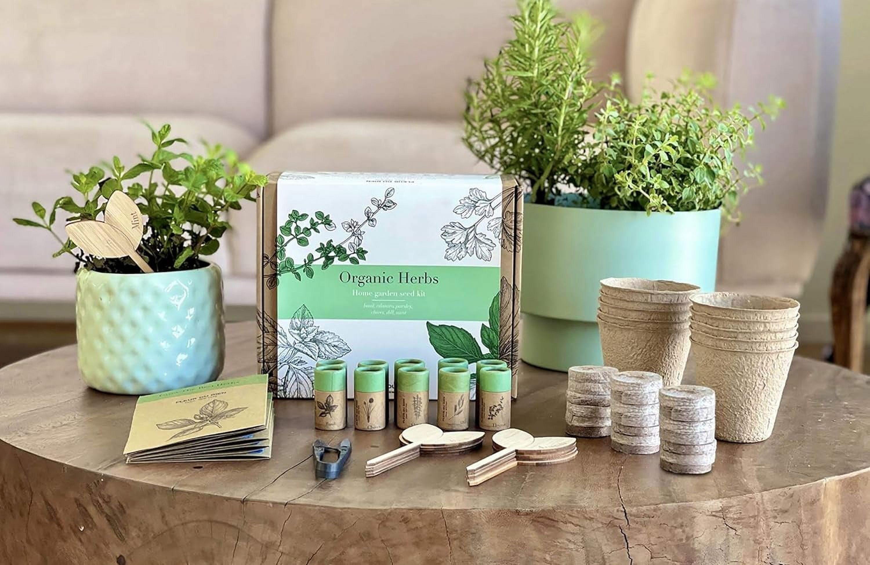 Indoor Herb Garden Starter Kit, 10 Gardening Seed Pack with Plant ...