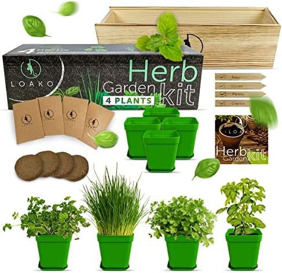 Indoor Herb Garden Starter Kit - DIY Kits For Adults - 4 Herb Seeds Growing Kit - Crafts For ...